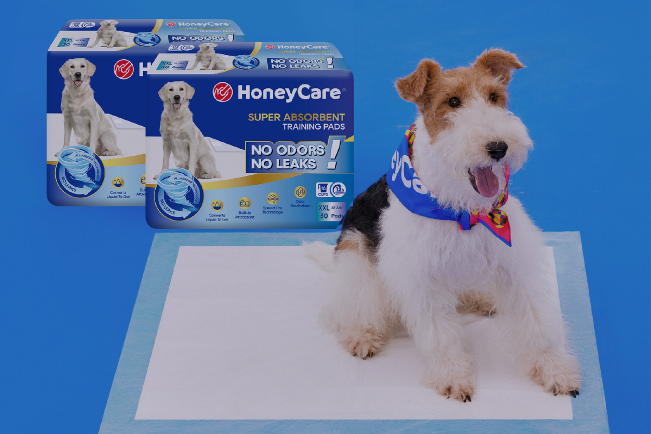 How to Transition Your Dog from Puppy Pads to Outdoor Potty Training ...