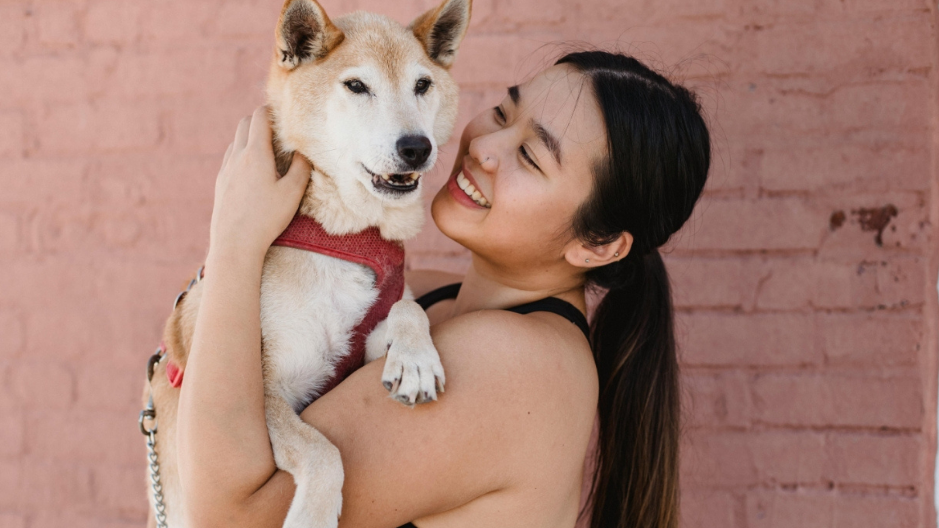 Splooting in Dogs: Cute Quirk or Cause for Concern?｜HoneyCare – Honeycare